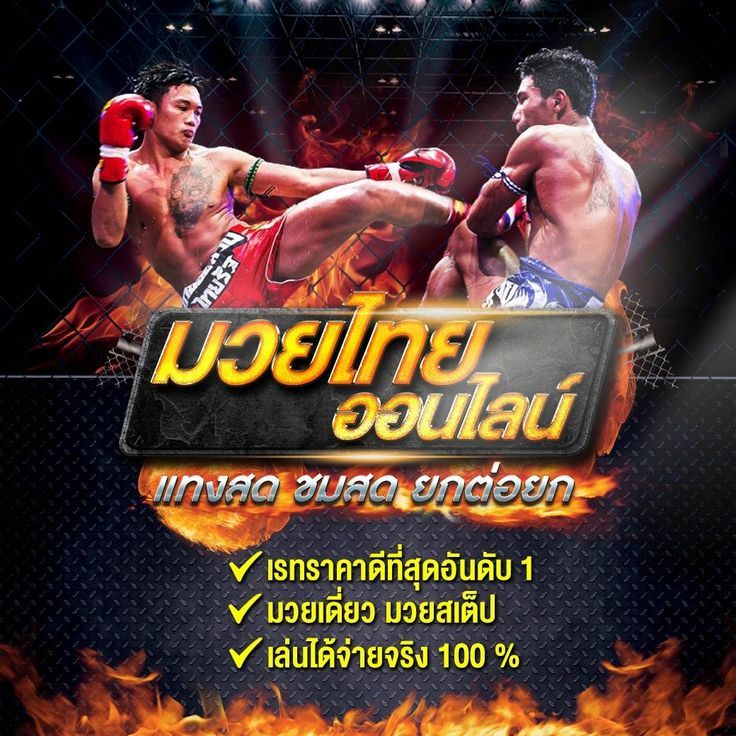 Pakyok678 แทงมวยยุคใหม่ 24 ชั่วโมง ระบบทันสมัย บริการครบวงจร